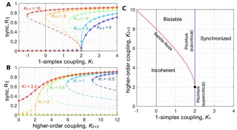 Phase Diagrams Of The Simplicial Complex Oscillator Model Of Ref Download Scientific Diagram