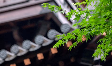 每日一禅缺德 都会