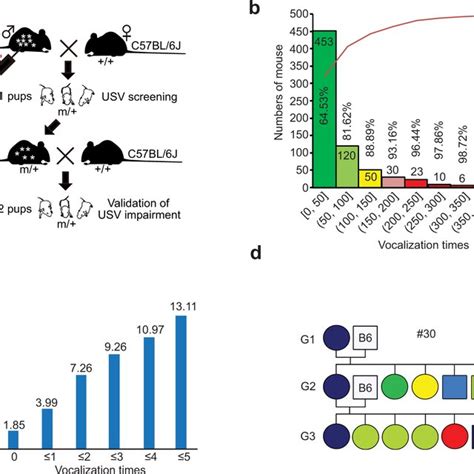 Identification Of Novel Genes Involved In Mouse Usv By An Enu Induced
