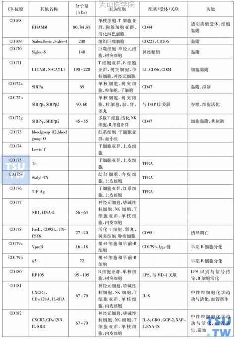 血细胞分化抗原 血液病学 天山医学院