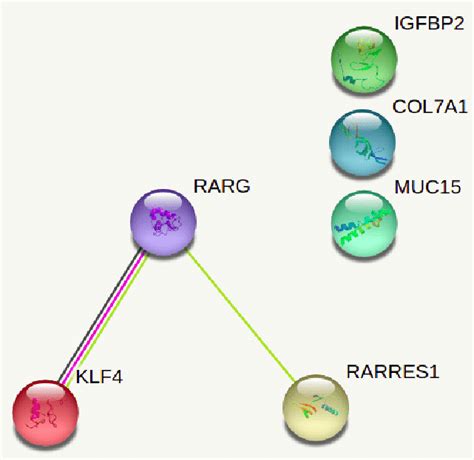 String Network Of Down Regulated Degs Download Scientific Diagram