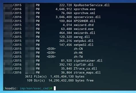 Hacking Using Koadic