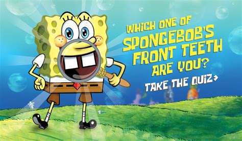 Which One Of Spongebobs Front Teeth Are You Encyclopedia Spongebobia Fandom