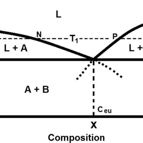 Binary Phase Diagram With A Peritectic Reaction Where The Peritectic Download Scientific