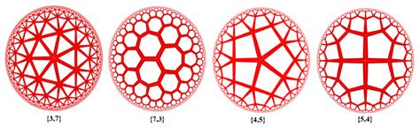Some Examples Of The Infinite Number Of Hyperbolic Lattices Projected