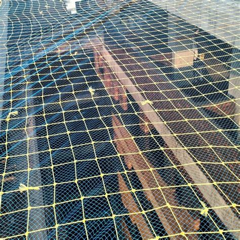 Blue Double Layer Safety Net Hdpe Nylon At ₹ 16 Sq Ft In Nashik Id 2853204265330