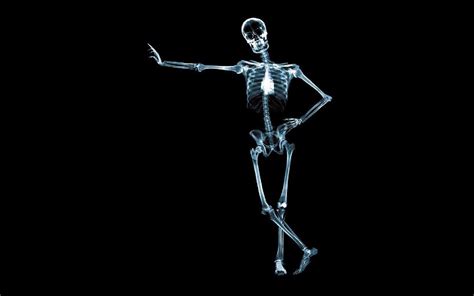 X Ray Wallpapers Top Free X Ray Backgrounds Wallpaperaccess