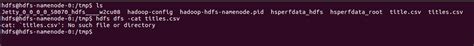 Hadoop Difference Between Ls And Hdfs Dfs Ls Stack Overflow