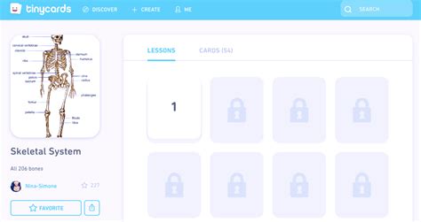 Duolingo Brings Tinycards To The Web Techcrunch