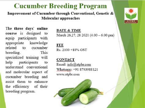 Cucumber Breeding Program Pdf