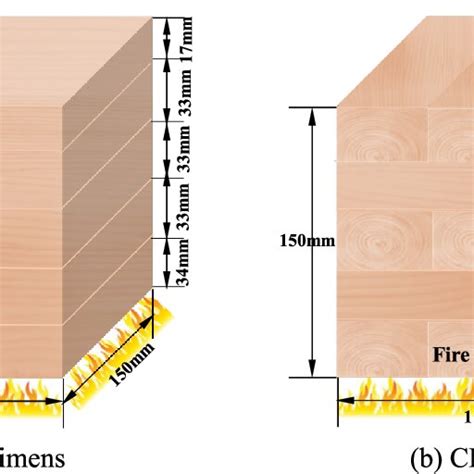 Specimens Structure Diagram Download Scientific Diagram