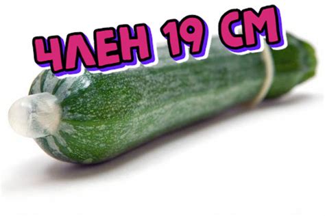 Как выглядит член 15 см фото