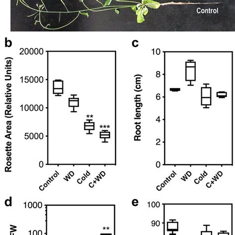 Combined Conditions Cause Decrease Of Vegetative Growth Flowering Download Scientific Diagram