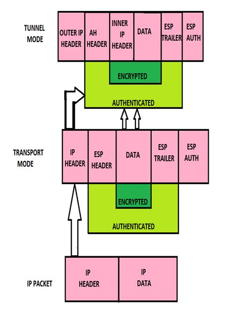 Encapsulating Security Download Scientific Diagram