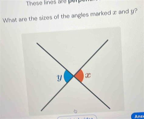 Solved These Lines Are Perpe What Are The Sizes Of The Angles Marked X