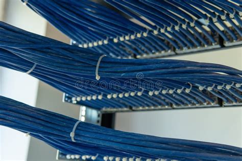 230 Ethernet Jack Patch Panel Stock Photos Free Royalty Free Stock Photos From Dreamstime
