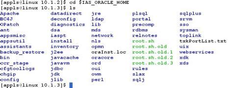 Oracle Applications DBA Apps R12 File System