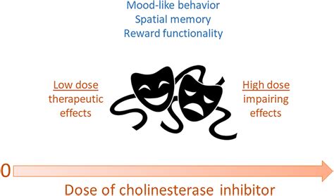 Dose Of Acetylcholinesterase Inhibitors May Exhibit A Janus Faced Download Scientific Diagram