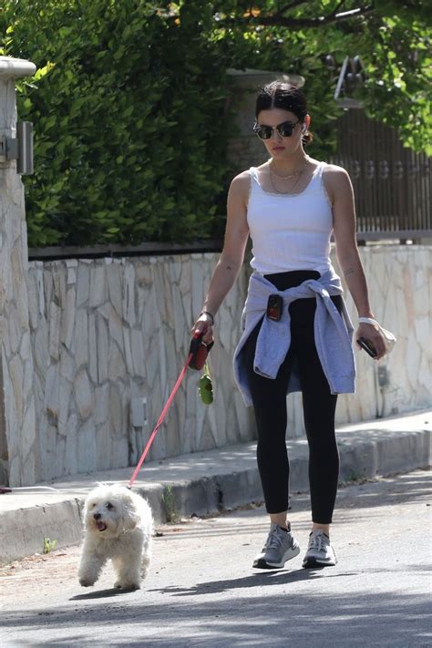 Lucy Hale Sexy Look In LA Photos The Fappening