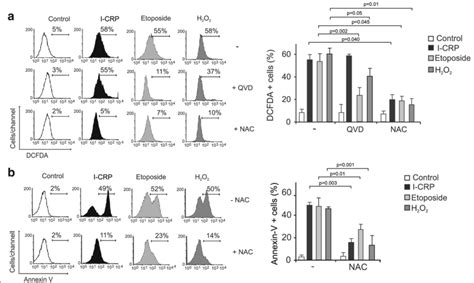 Ros Production And The Effect Of Their Inhibition Upon I Crp Treatment Download Scientific