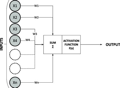 typical structure of a neural network node download scientific diagram