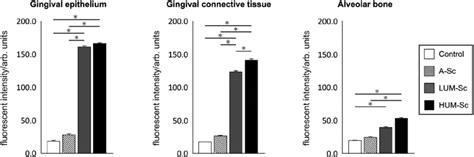 Imagej Measuring Fluorescence Intensity