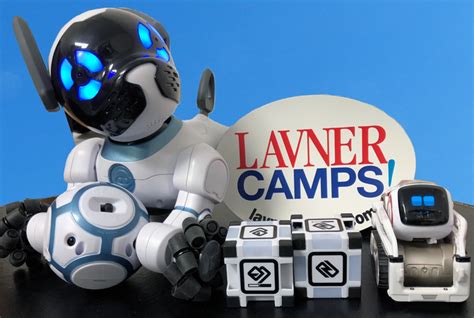 Ai Camp Machine Learning With Chatgpt By Lavner Education Camp