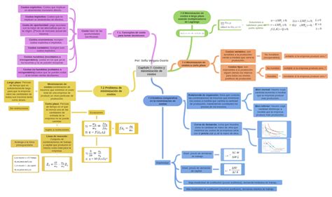 Capítulo 7 Costos Y Minimización De Costos Por Sofía Vergara Osorio