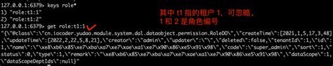 Redis 缓存 yudao cloud 开发指南 Redis 缓存 yudao cloud 开发指南