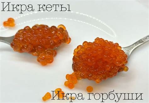 Чем отличается красная икра разных рыб: разница между горбушей, кетой ...
