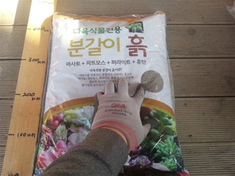 한성 다육식물전용대용량 분갈이흙 10l단독배송상품분갈이흙배양토퍼라이트마사토피트모스 배양토흙자갈돌모래바크 엑스플랜트