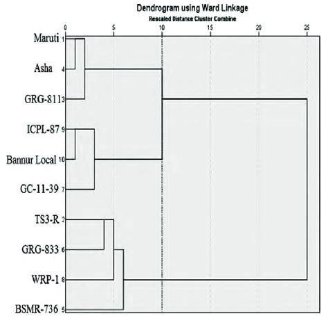 Dendrogram Using Scoring As Per The Dus Morphological Characters Download Scientific Diagram