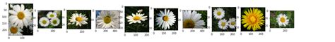 Unsupervised Learning In Image Classification Everything To Know