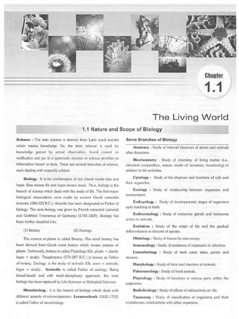Errorless Living World Pdf