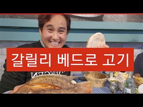 대박 갈릴리 베드로 고기 엔게브 에서 마이클 조 선교사 YouTube