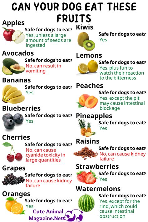 An Image Of Fruits And Vegetables With The Words Can Your Dog Eat These