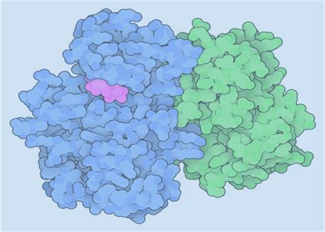 分子对接 四川魔德科技有限公司