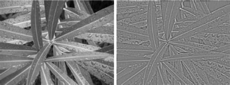 oriented gabor filters download scientific diagram