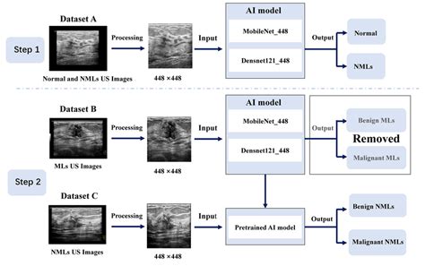 Proposed Network Scheme Of The Ai Model For Detecting And Classifying