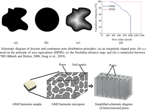 Permeability Prediction Model Download Scientific Diagram