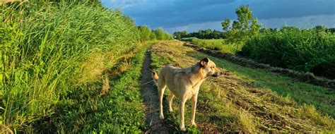 Back To The Coding Rabbit Holes