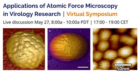 Applications Of Atomic Force Microscopy In Virology Research Oxford Instruments Asylum Research