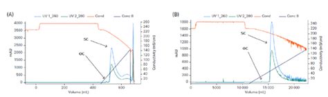 A Scalable Single Use Two Step Plasmid Purification Process Cytiva
