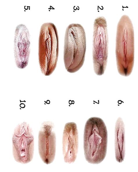 A QUOI RESSEMBLE TA CHATTE Looks Like Your Pussy Porn Pictures XXX Photos Sex Images