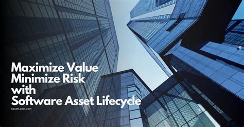 Software Asset Lifecycle Maximizing Value Minimizing Risk