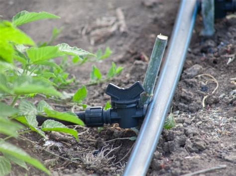 Drip Irrigation Diy Homemade Drip Irrigation System How To Gardening Know How