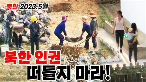 북한 인권을 놓고 들먹이는 것은 결코 바른 일이 아니다 방송국 기자의 충격적인 이야기 오늘의 북한 Youtube