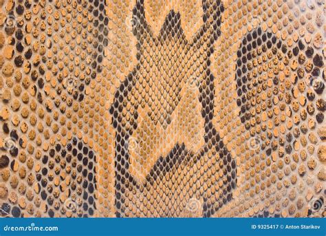 Python Skin Texture Royalty Free Stock Photography Image