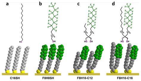 Self Assembled Monolayer Coatings On Gold And Silica Surfaces For Antifouling Applications A Review