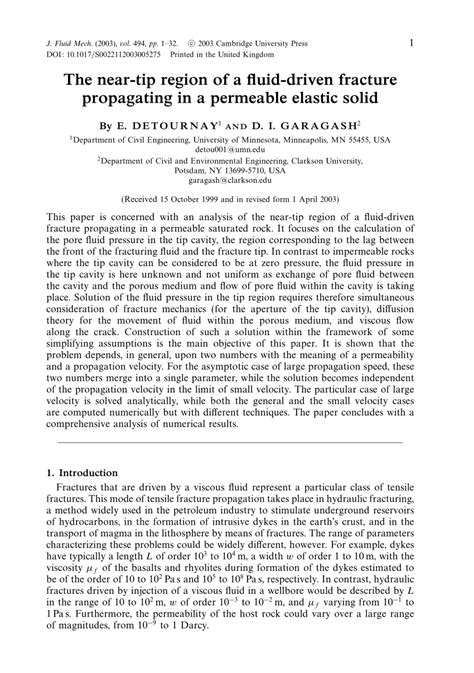 Pdf The Near Tip Region Of A Fluid Driven Fracture Propagating In A Permeable Elastic Solid
